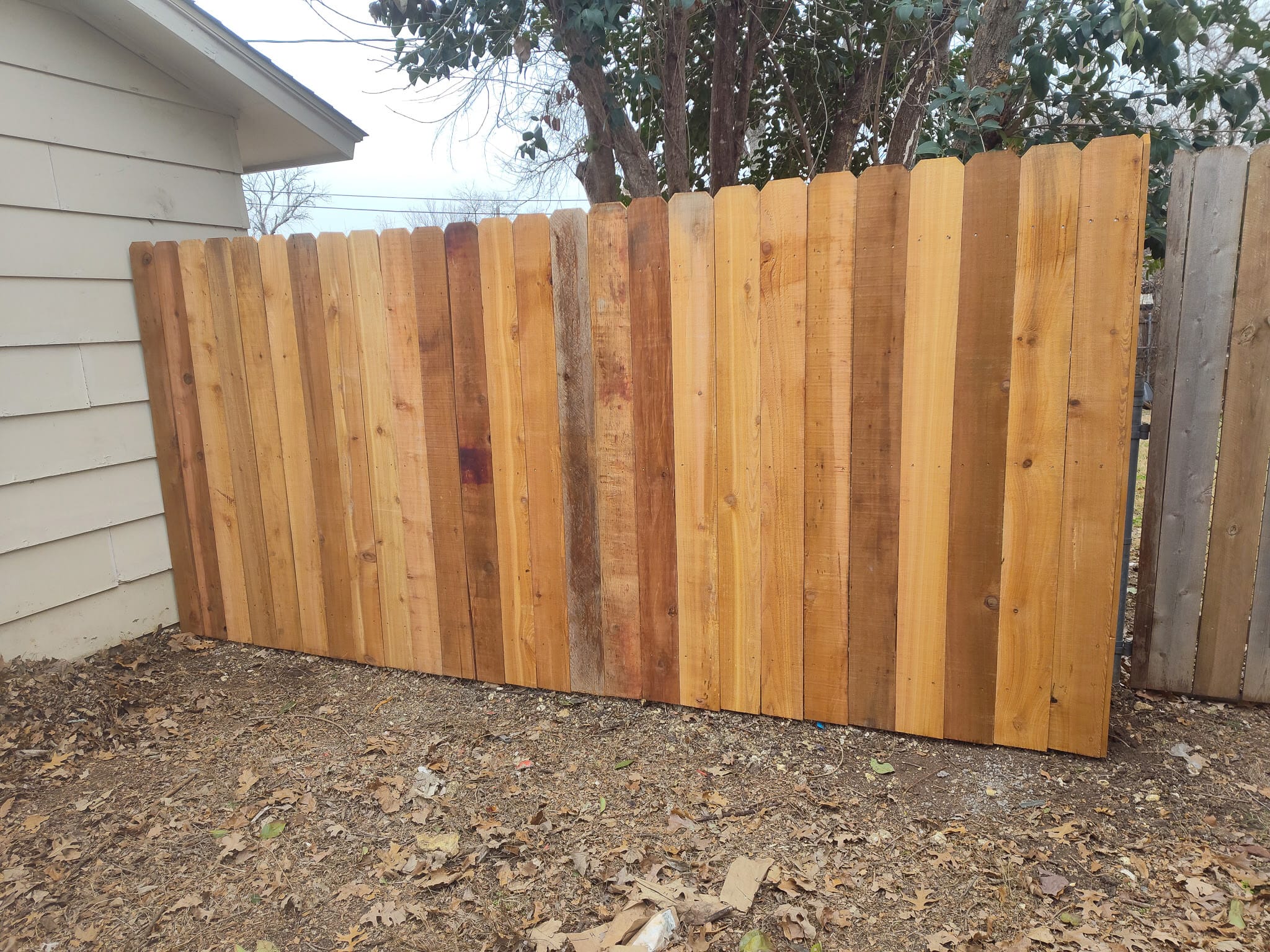 Tree Services Fort Worth & Dallas | Texas Tree Tops-Tree Services LLC