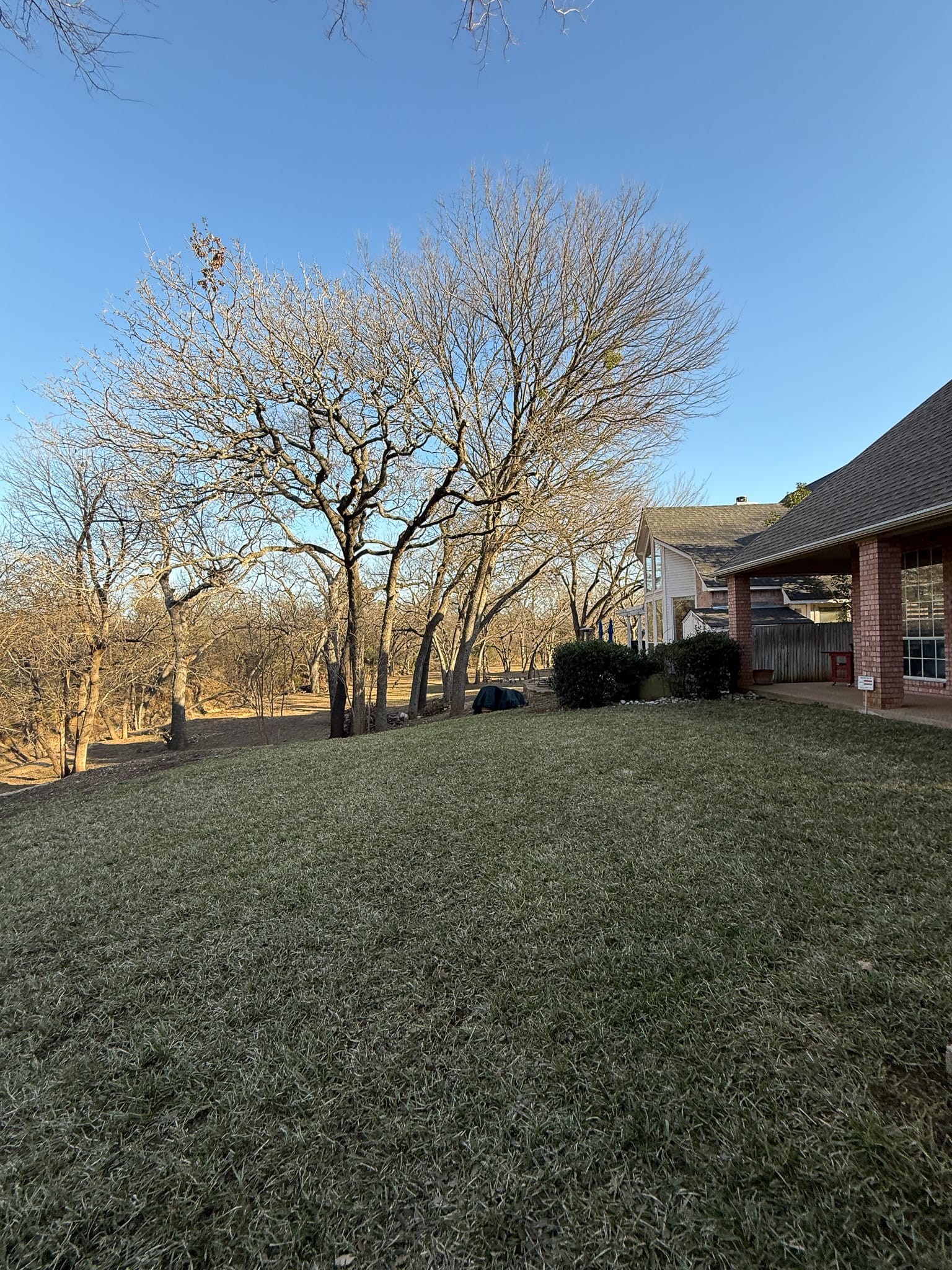 Service Areas - Texas Tree Tops